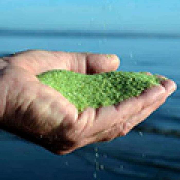 Dryden Aqua hails independent test results on AFM filtration media ...